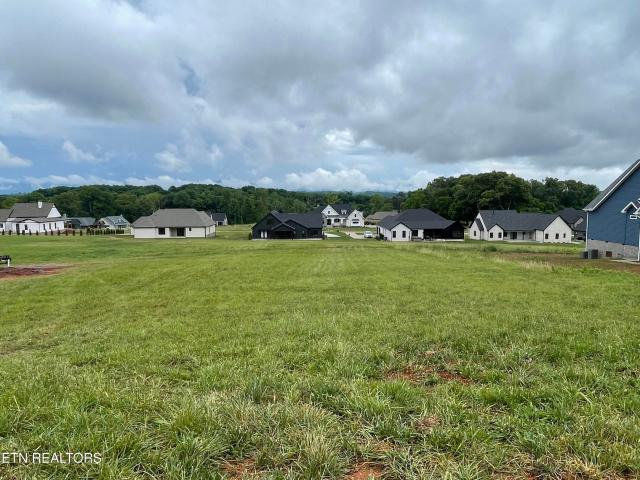 1234 Kellys View Drive