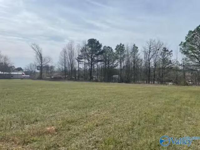 1234 US HIGHWAY 431, BOAZ, AL 35957