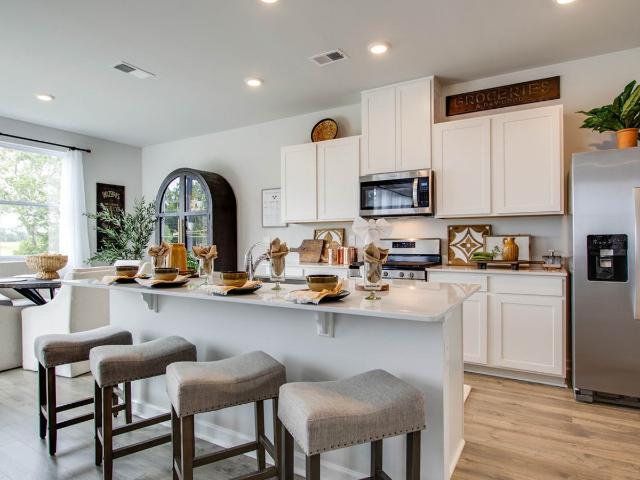 1235 Bufflehead Way