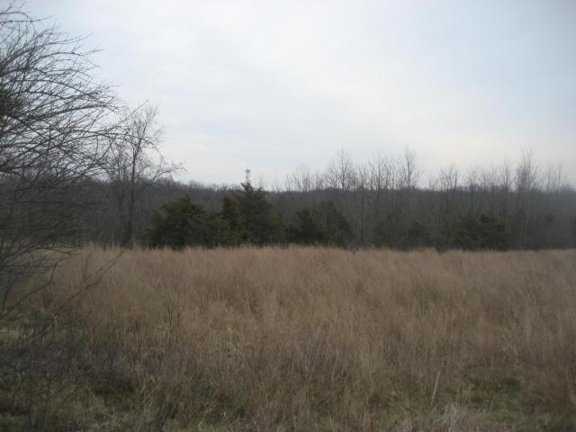1235 Rutherford School Road