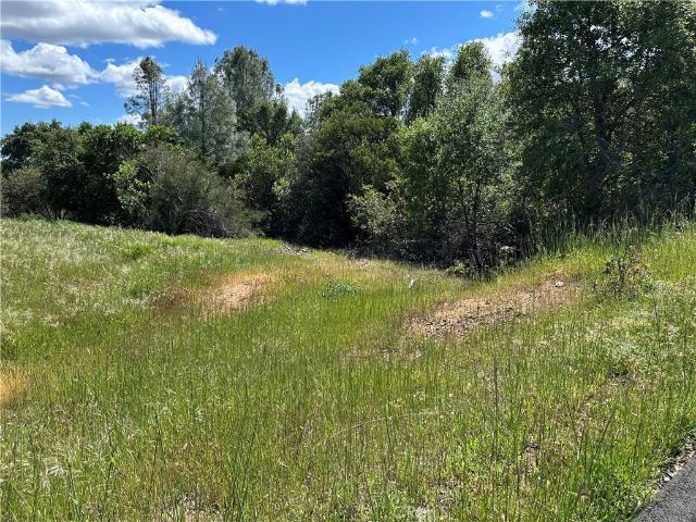 12361 Cerrito Dr, Clearlake Oaks, CA 95423 | MLS #LC26083
