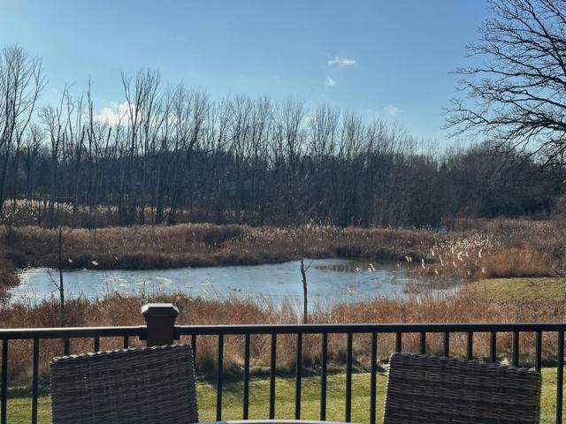 1236 Longspur Boulevard, Lake Orion, US, MI