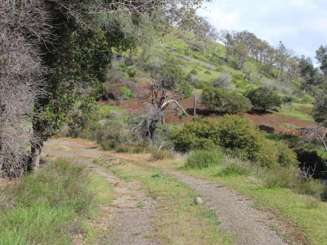 12372 Terrace Drive