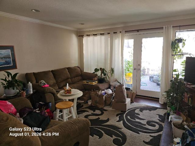 12372 Wanderer Rd, Auburn, CA 95602 | MLS #226048