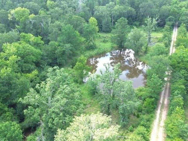 12376 County Road 4030 Parcel Id, Crockett, TX 75835