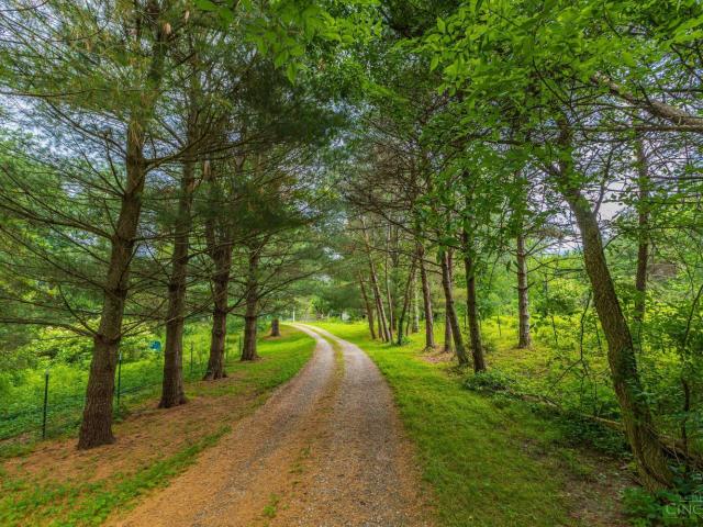 1237 Black Hollow Road