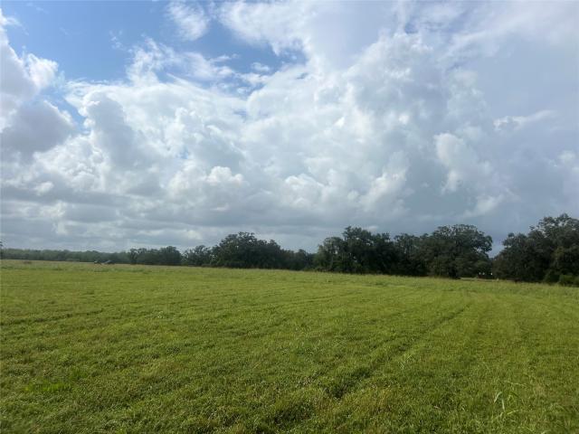 1238 Frontier Trail