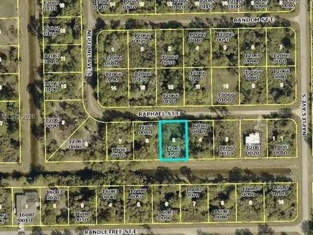 1238 Raphael St E, Lehigh Acres, FL 33974