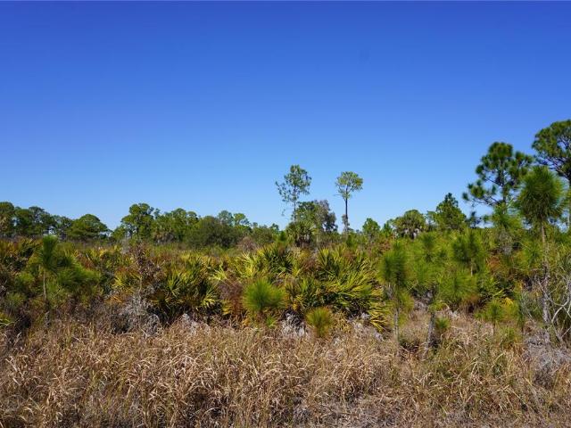 12392 Dietrich Ave, Port Charlotte, FL 33953 | MLS #D6146 | Compass