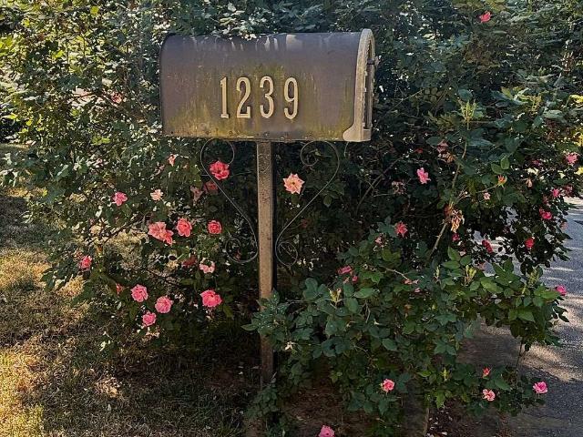1239 Blueberry Trail