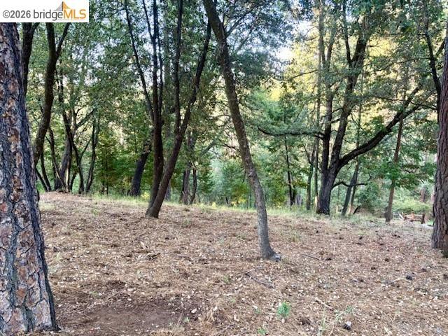 12301 Tower Peak Ct, Groveland, CA 95321 | MLS #41124
