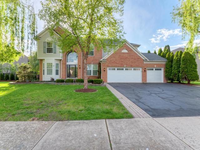 12308 Blue Iris Lane