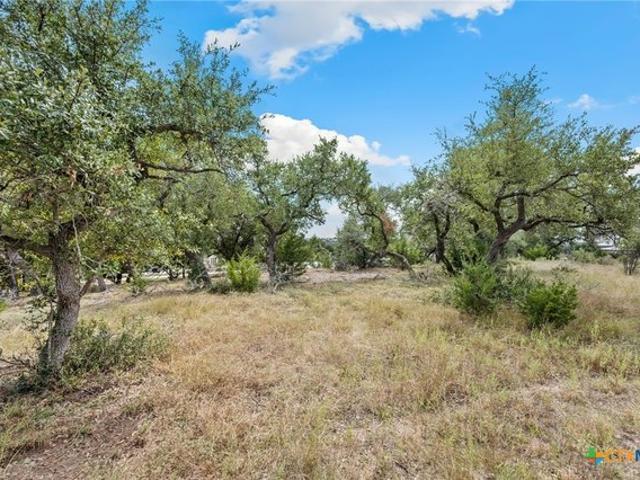1230 Alsace, New Braunfels, TX 78132