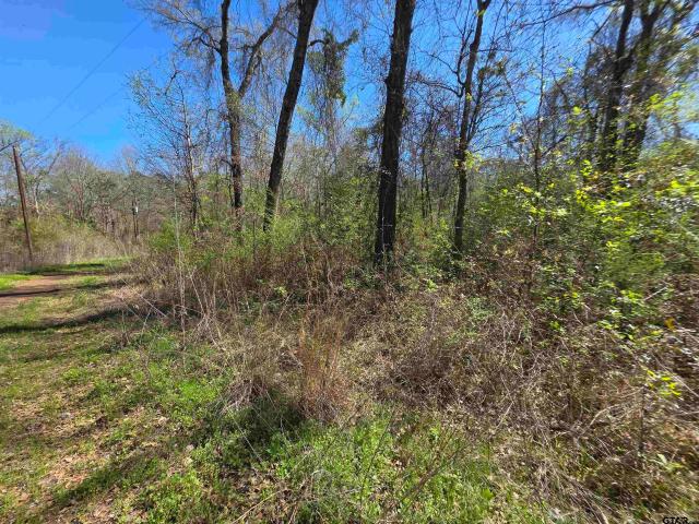 1230 Balmorea Dr, Bullard, TX 75757 | MLS #26004