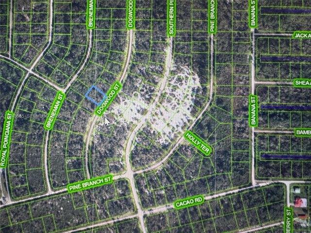 1230 Dogwood, Lake Placid, FL 33852