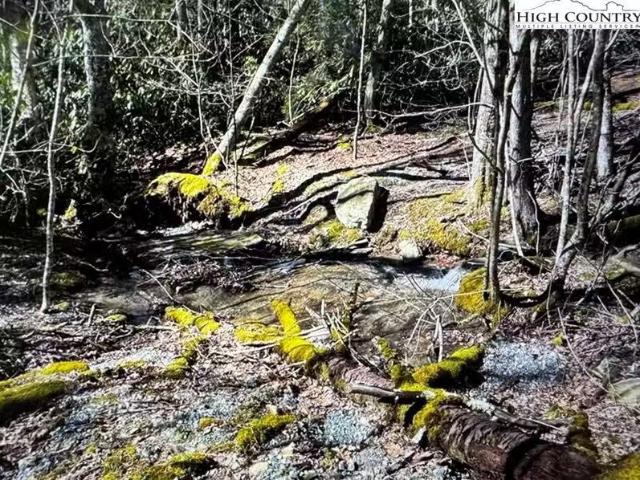 123/125 Locust Ridge Rd, Beech Mountain, NC 28604 MLS 248953