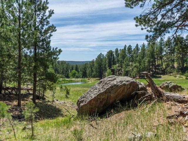 12325 Bonanza Rd, Custer, SD 57730