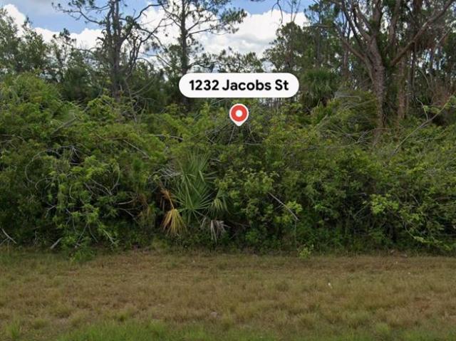 1232 Jacobs St, Port Charlotte, FL 33953 | MLS #O6395