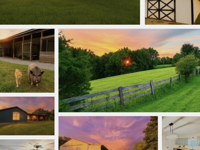 1232 Pleasant Grove Ridge Road