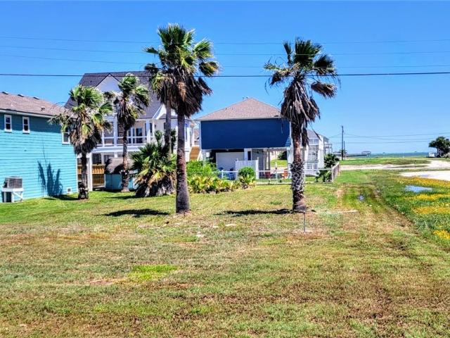 1232 S Live Oak Street