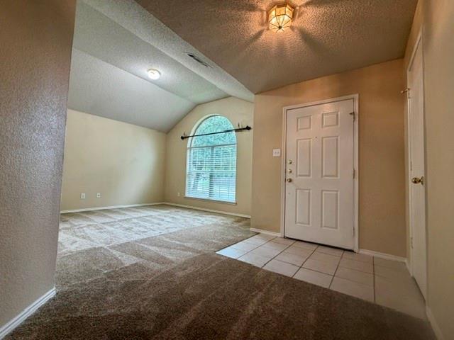 12333 Silver Mist Trail