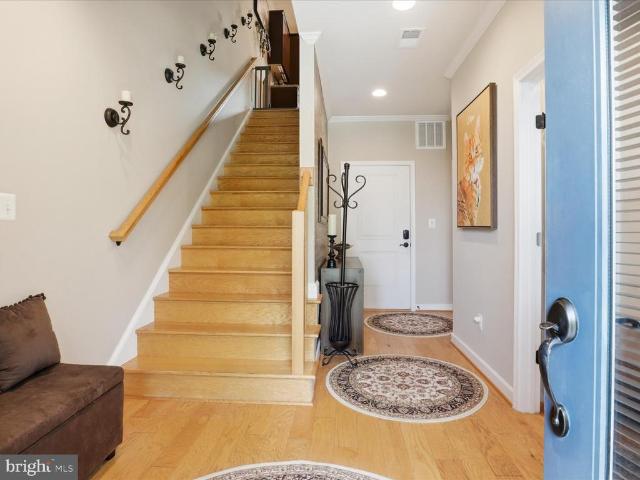 12331 Yellow Buckeye Way