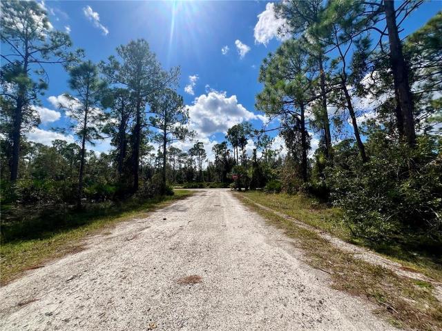 12334 Hindle Ave, Punta Gorda, FL 33955 | MLS #C7498
