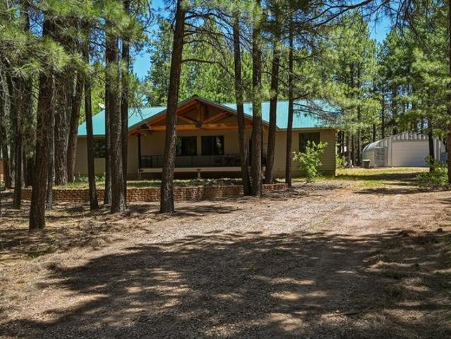 1233 Merzville Rd, Forest Lakes, AZ 85931