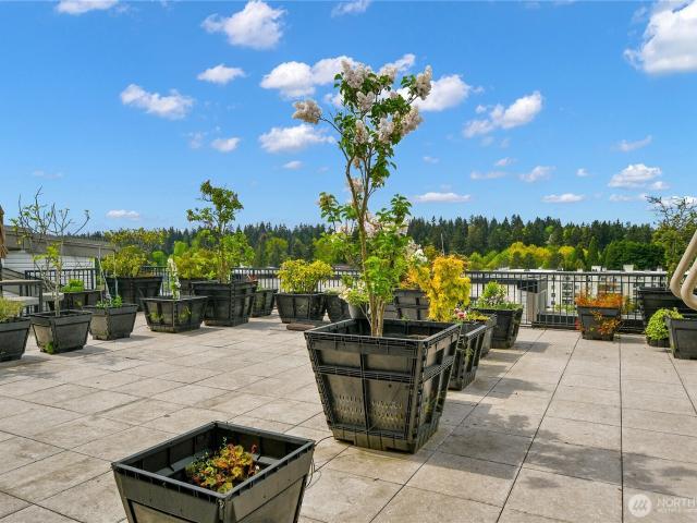 1233 st Ave NE, Unit 607, Seattle, WA 98125 | MLS #2555