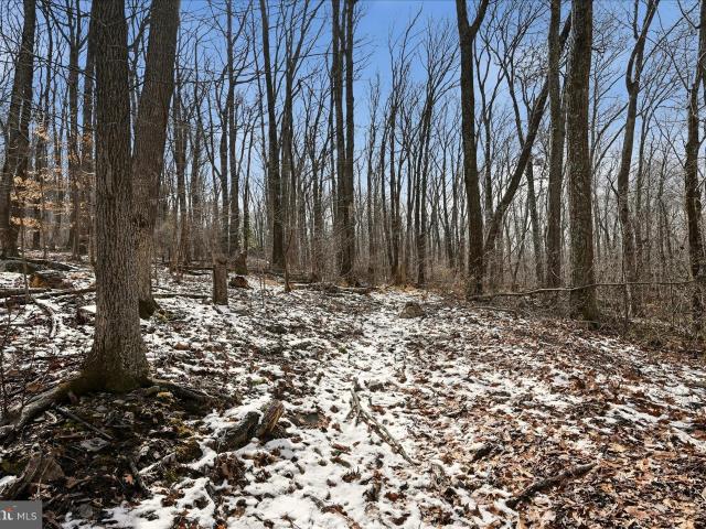 123 124 Tulip Tree Way, Harpers Ferry, WV 25425 | MLS #WVJF2021 | Compass