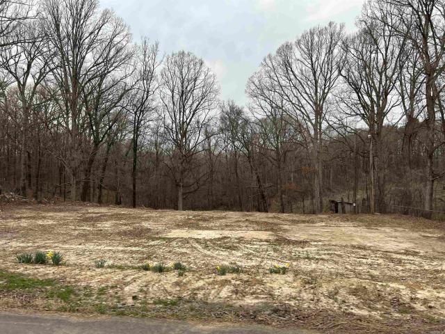 123 County Road 381