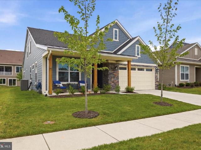 123 Cowbird Street