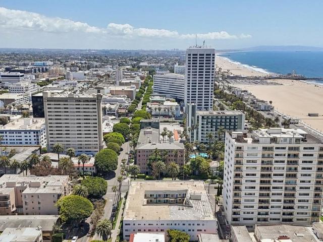 123 California Ave 1 Bedroom Apartment for Rent at 123 California Ave, Santa Monica, CA 90403 Wilshire Montana