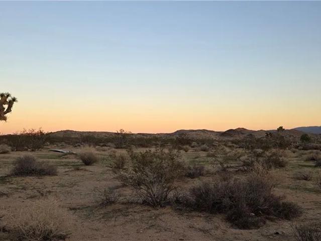 123 Campanula St, Joshua Tree, CA 92252 | MLS #JT25267 | Compass