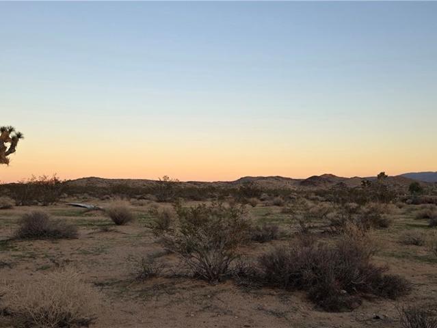 123 Campanula St, Joshua Tree, CA 92252 | MLS #JT25267