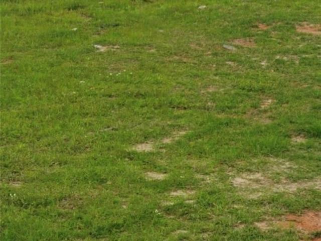 123 Clinton Ct Lot 29, Hammond, LA 70401