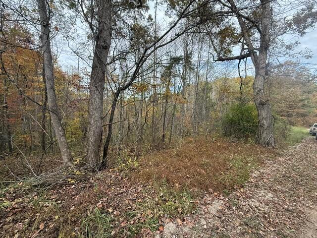 123 Crestmont hales ridge