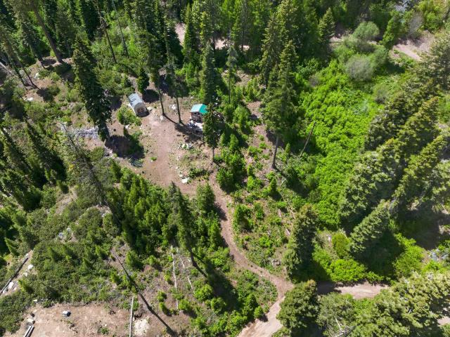 123 Arling Trail