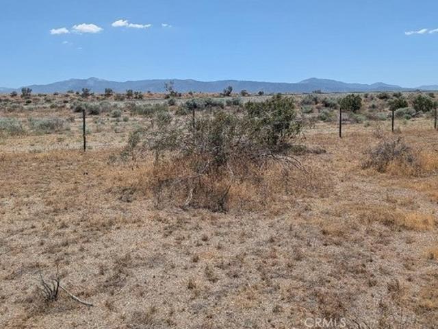 123 Dos Palmas, Pinon Hills, CA 92372