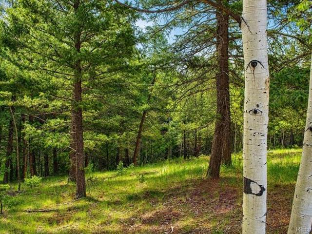 123 Ellis Lake Cir Lot 59, Divide, CO 80814