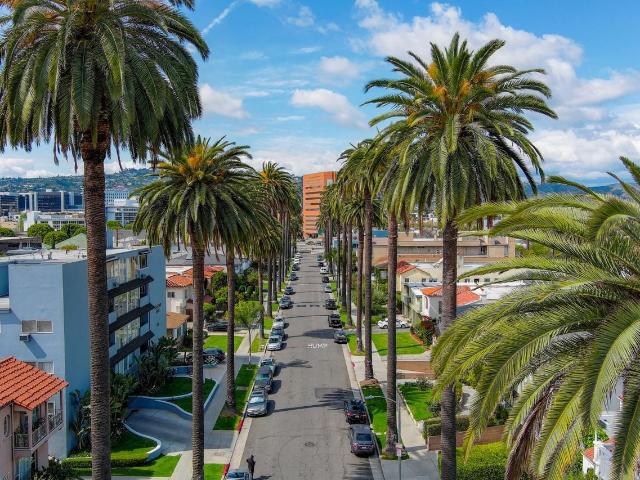123 Hamilton Luxury Investments LLC Studio Apartment for Rent at 123 N Hamilton Dr, Beverly Hills, CA 90211 Beverly Hills