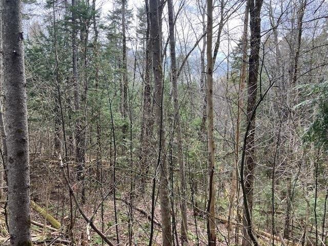 123 High Top Rd Lot B123, Wilmington, VT 05363
