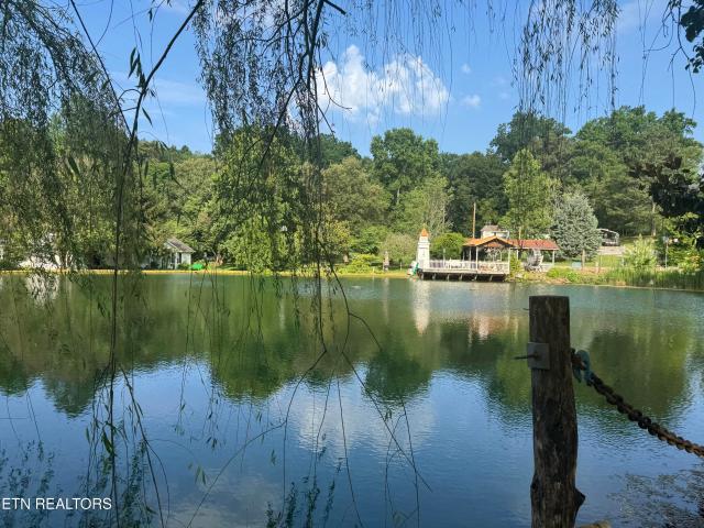 123 Jerry Cardin Lane