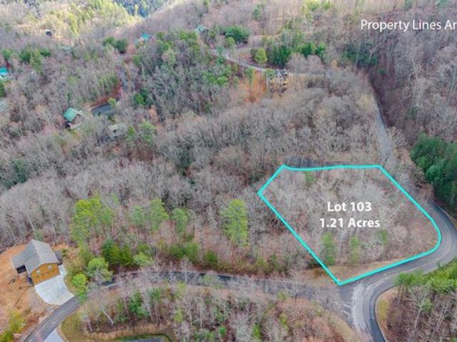 123 Long Rifle Rd, Sevierville, TN 37862