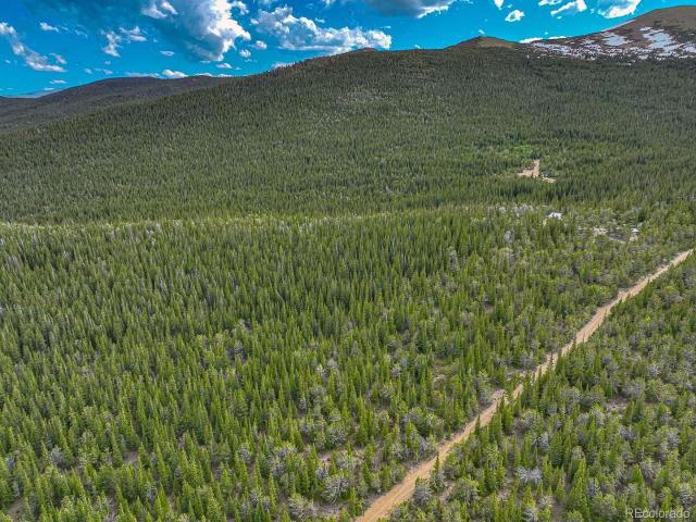 123 Mosquito Creek Road