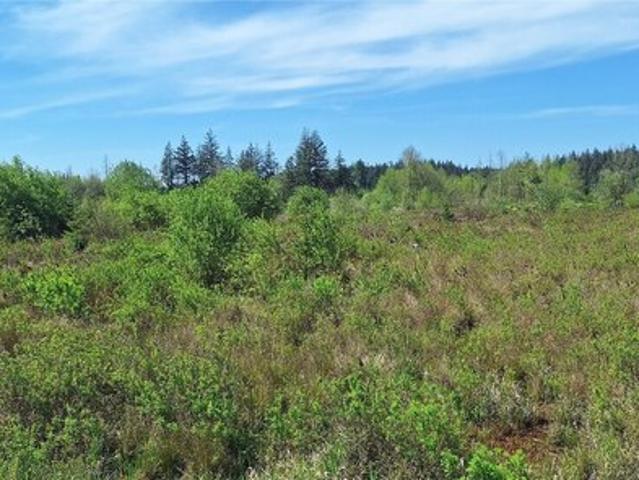 123 Meier Rd, Winlock, WA 98596