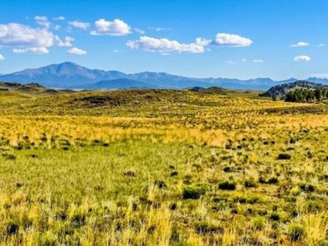 123 Shawnee Trl, Hartsel, CO 80449