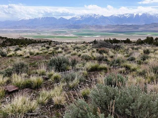 123 W Tbd Willow Spring Rd, Goshen, UT 84633