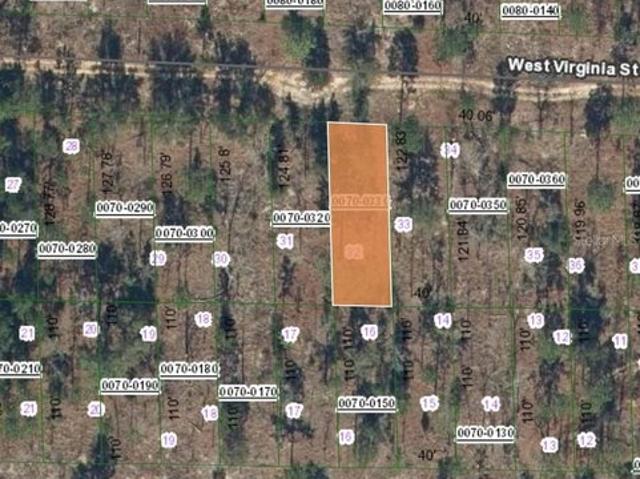 123 W Virginia St, Hawthorne, FL 32640