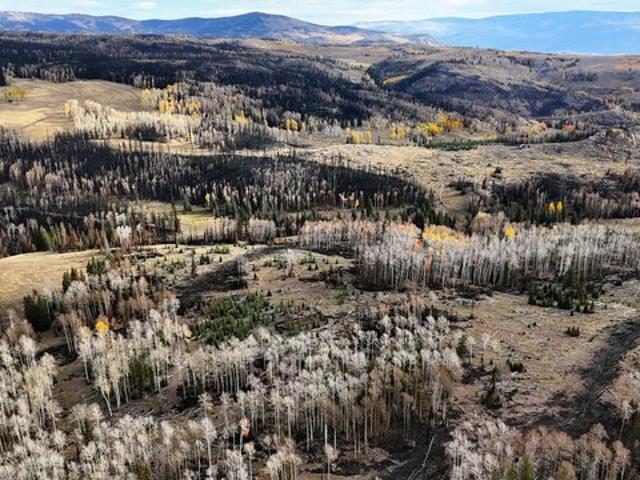 123 Tbd Monroe Canyon Rd, Monroe, UT 84754